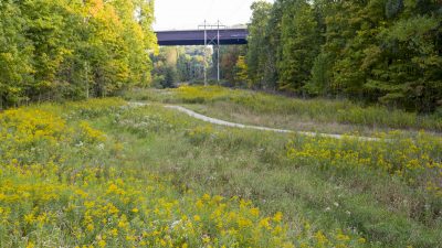 Wintergreen Gorge - Greater Erie Regional Trails
