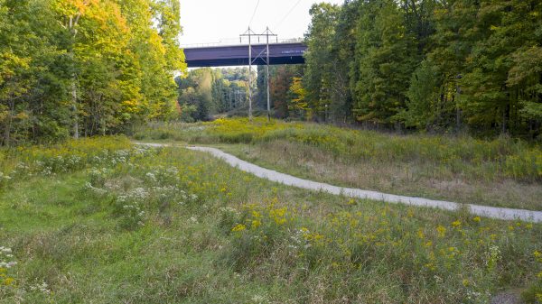 Wintergreen Gorge - Greater Erie Regional Trails