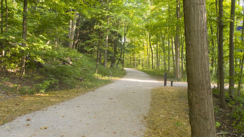Wintergreen Gorge - Greater Erie Regional Trails